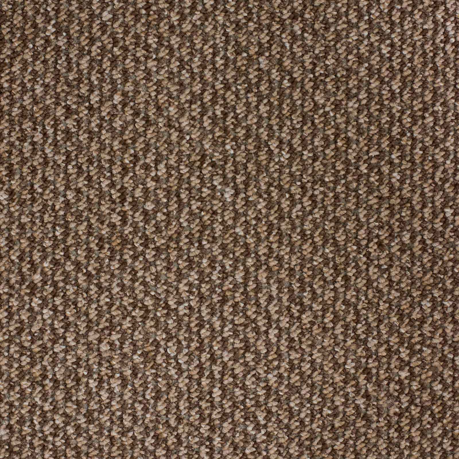 Brown Carpet Cheap Brown Carpets Loop Twist & Saxony Pile Brown Carpets ...