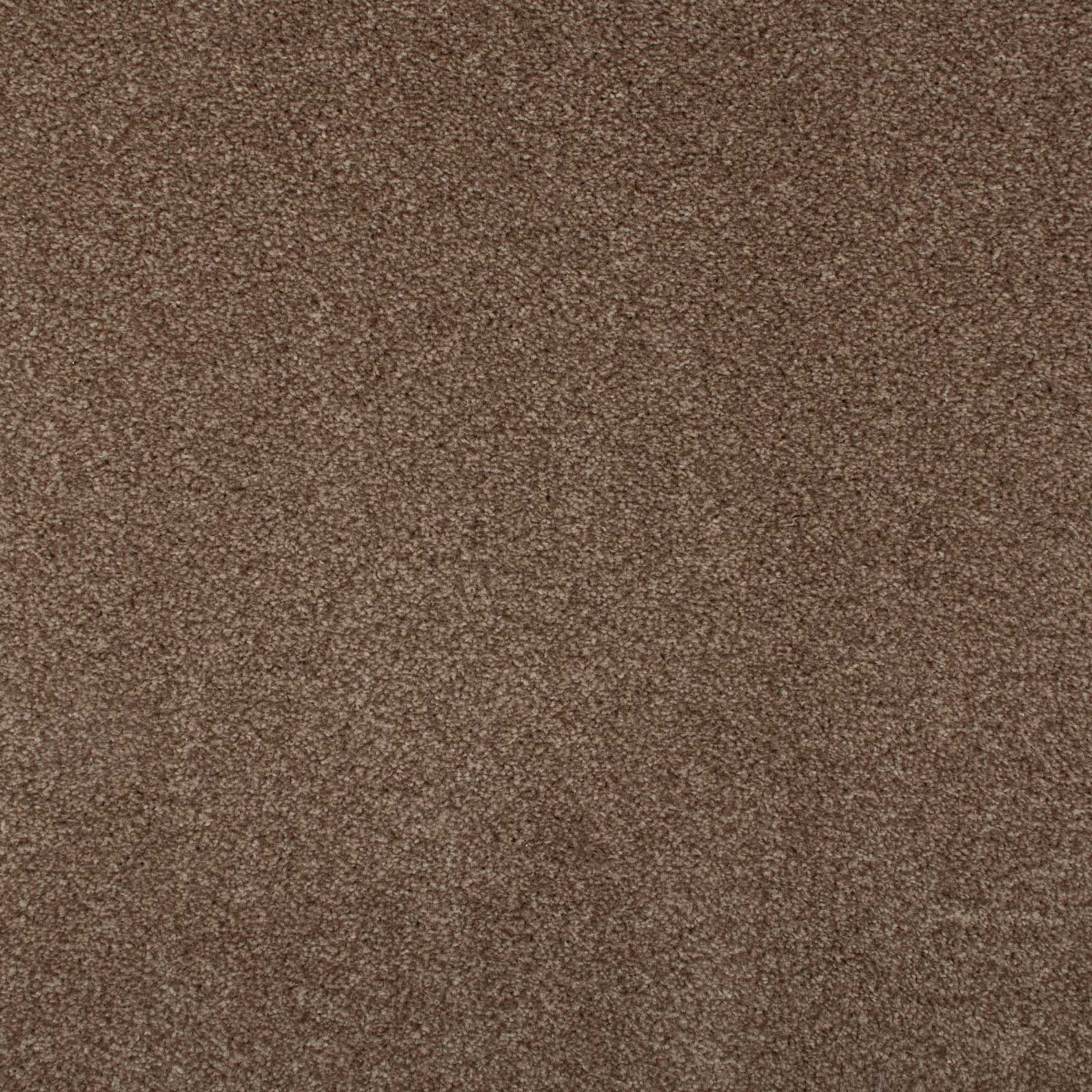 Beige Carpet, Cheap Beige Carpets, Twist & Saxony Pile Beige Carpets ...