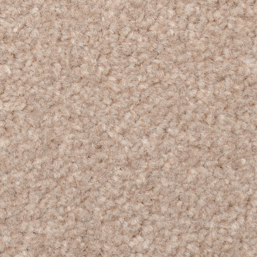Beige Carpet, Cheap Beige Carpets, Twist & Saxony Pile Beige Carpets ...